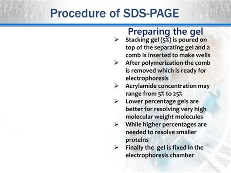 Sds Pagesds Polyacrylamide Gel Electrophoresis Ppt