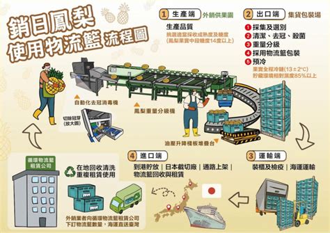 使用循環物流籃外銷日本 創造臺灣鳳梨截切產品新商機農業 僑務電子報