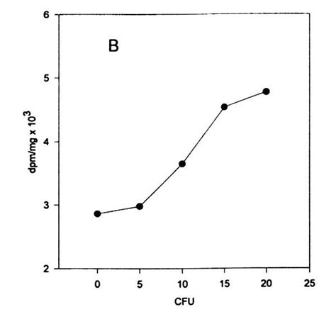 Cellular Pc And Lpc Synthesis And Their Release Into Medium Of