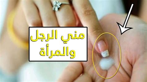 الفرق بين المني والمذي و مني الرجل و مني المرأة الفرق شرعاً وحكم كل سائل منهم Youtube