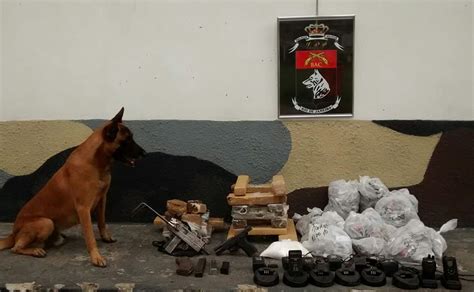 COE Apreende Armas E Drogas Na Comunidade Nova Holanda PMERJ