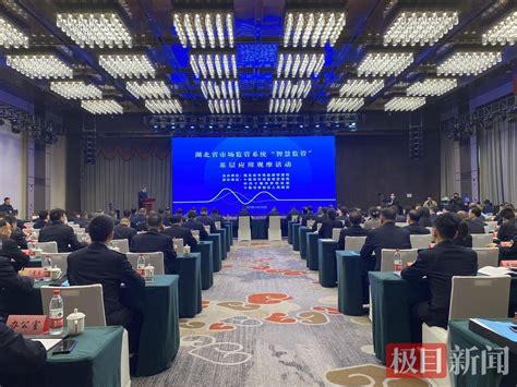 一网护安全，湖北市场监管系统建成“智慧监管”安全网检查企业信息