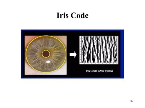 Lecture 1ppt Technology And Computing