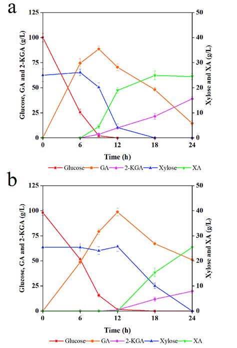 simultaneous fermentation of glucose and xylose by g oxydans of a