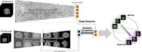 figure 2 from joint embedding of 2d and 3d networks for medical image
