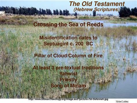 Ppt The Old Testament Hebrew Scriptures Powerpoint Presentation Free Download Id 5552271