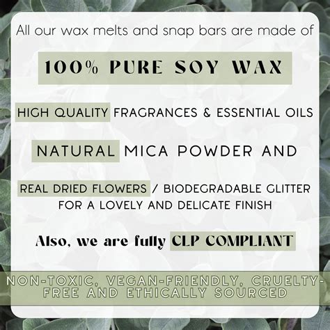 Mega Bundle Highly Scented Wax Melts Mystery Box Soy Wax Melts Strong