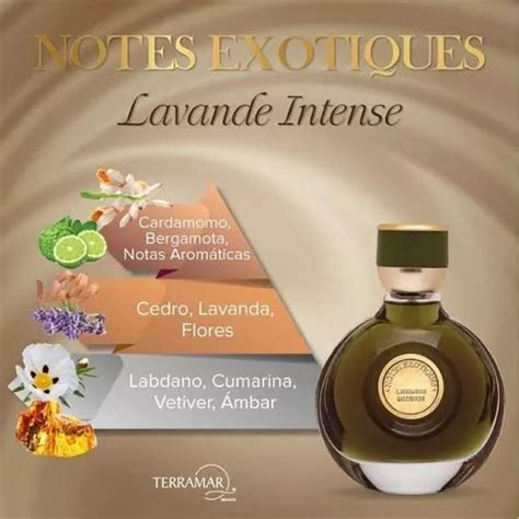 Perfume Caballero Lavande Intense Terramar Notes Exotiques Env O Gratis