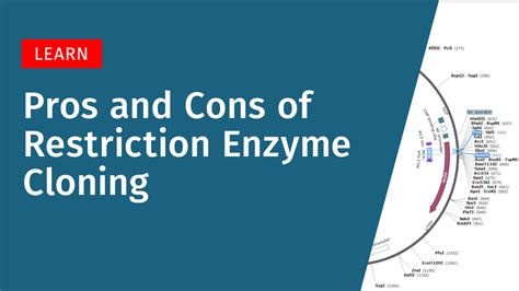Pros And Cons Of Restriction Cloning