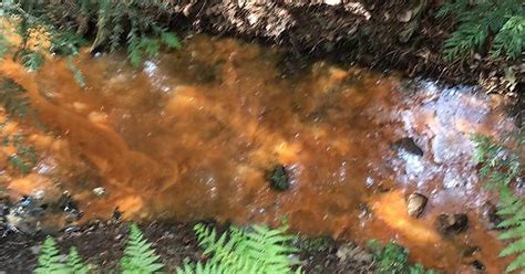 Pretty Creek Album On Imgur
