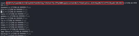 Unlocking The Secrets How To Access Etcshadow File Without Root