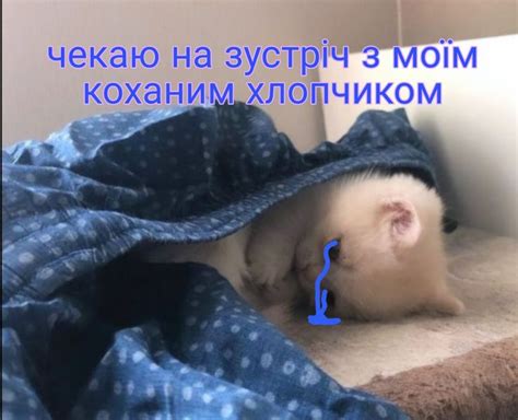Меми українською кохання Memes Cute Mems