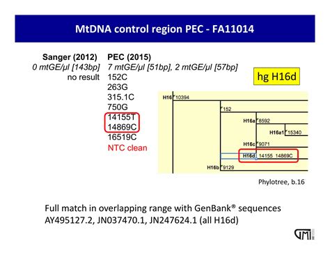 Massively Parallel Sequencing In Forensic Genetics Pdf