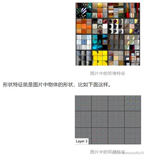 Resnet50算法原理 Csdn博客