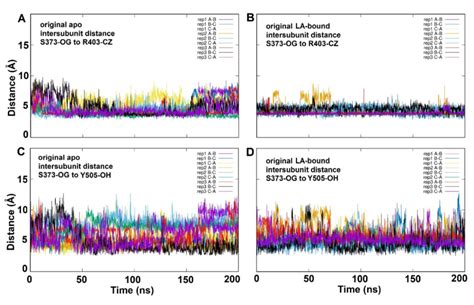 Interaction between S373 on one chain with R403 and Y505 of the ...