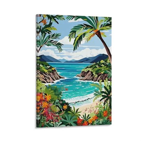 Kna Prints Trunk Bay Beach Us Virgin Islands Matisse And Rousseau