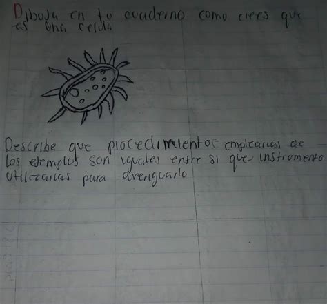 Dibuja en tu cuaderno como crees que es una célula Describe que