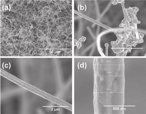 A B Low Magni Fi Cation Fesem Images And C D High Magni Fi Download Scientific