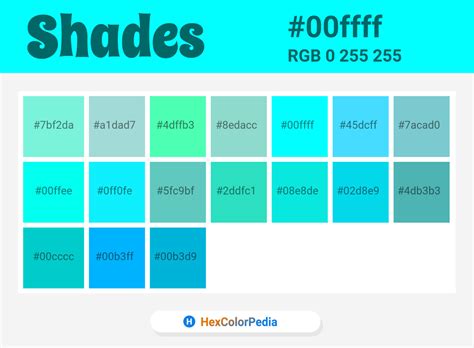 What Is The Color Of Aqua Hexcolorpedia
