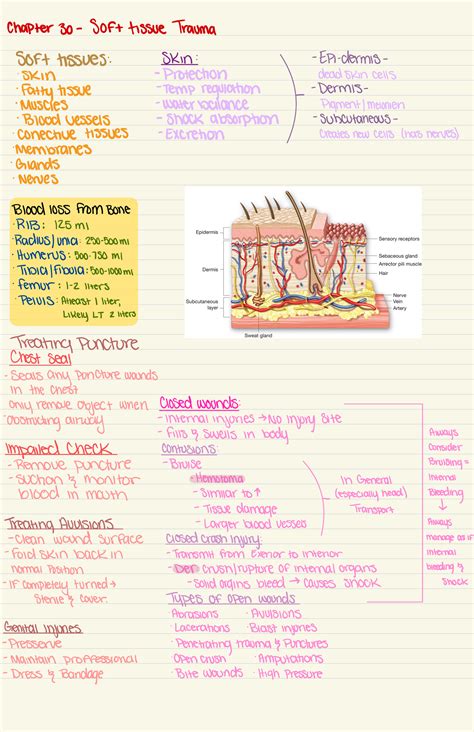 Chapter 30 Soft Tissue Trauma Chapter 30 Softissue Trauma