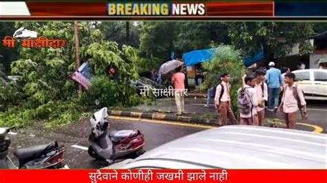 नवीन पनवेल बांठिया शाळेसमोर भले मोठे झाड कोसळले गाड्यांचे नुकसान