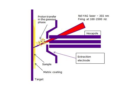 Maldi Mass Spectrometry Imaging Matrix Assisted Laser Desorption Ionization Waters