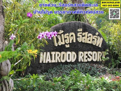 ขายรีสอร์ทสวย พื้นที่ 3 ไร่ ด้วยทิวทัศน์สวยงามของภูเขาและทะเล คลองใหญ่