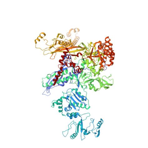 Rcsb Pdb 8re4 Cryo Em Structure Of Bacterial Rna Polymerase Sigma54