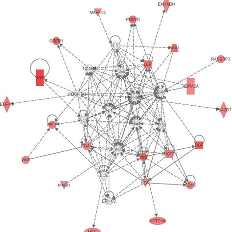 A Schematic Diagram Generated With The Ingenuity Ipa Pathway Analysis