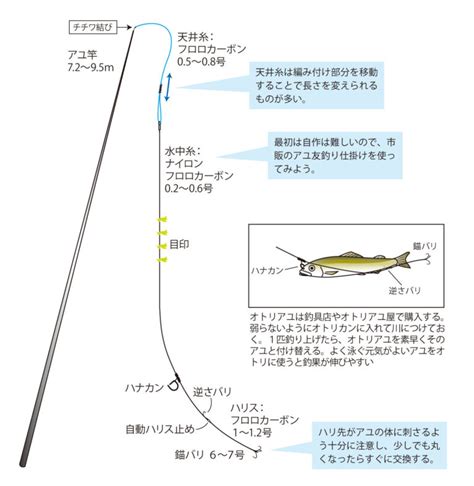 Tsuripo