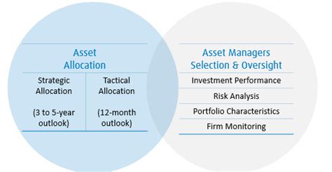 Alexander Spark Investment Management