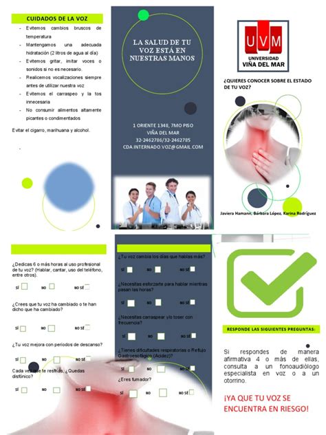 Cuidados De La Voz Pdf