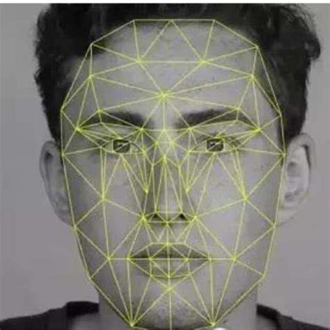 The Rendering Of The Three‐dimensional Face Model Download Scientific Diagram