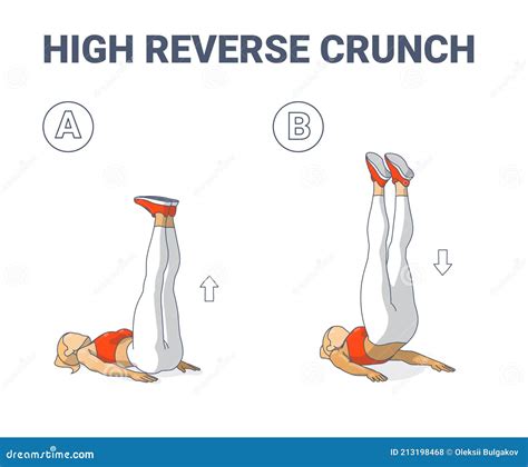 High Reverse Crunch Female Home Workout Exercise Illustration Athletic