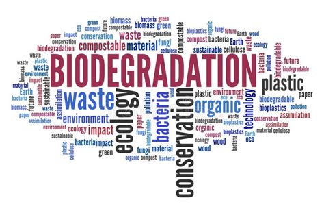 Biodegradation Stock Illustrations 287 Biodegradation Stock