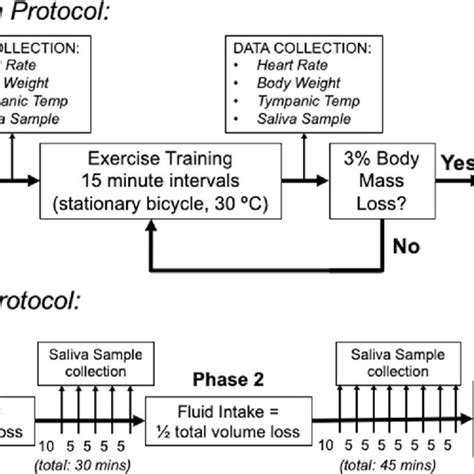 Experimental Design And Protocol Dehydration Protocol Euhydrated
