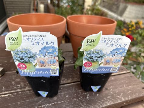 Denin S Gardening Note