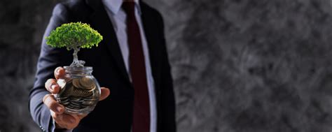 Les Actions En Bourse Guide Complet