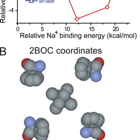 Thermodynamic And Ab Initio Calculations Support An En Face Model Of Download Scientific