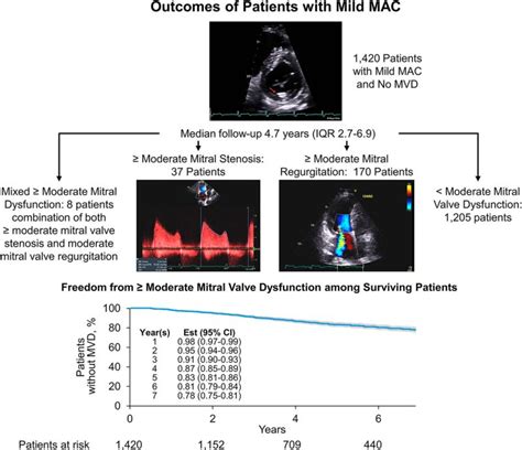 Mitral Annulus Calcification Mac Represents A Degenerative Process