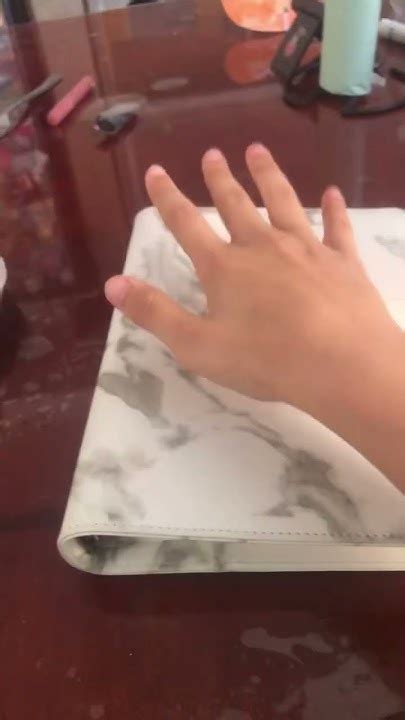 Vlog Cute Food Cat Pets рекомендации хочуврек Youtube