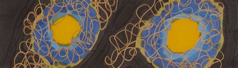 A Pair Of Ghost Cells Odra Noel