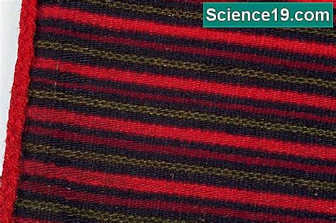 Mis On Esimesed Eukarüootsed Fossiilid 💫 Teaduslikud Ja Populaar Multimeedia Portaal 2025