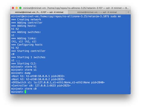 mininet网络搭建与测试 csdn博客