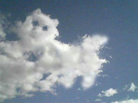 12 Best Clouds That Look Like Things Images On Pinterest Clouds