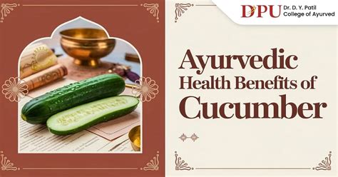 Ayurvedic Health Benefits Of Cardamom