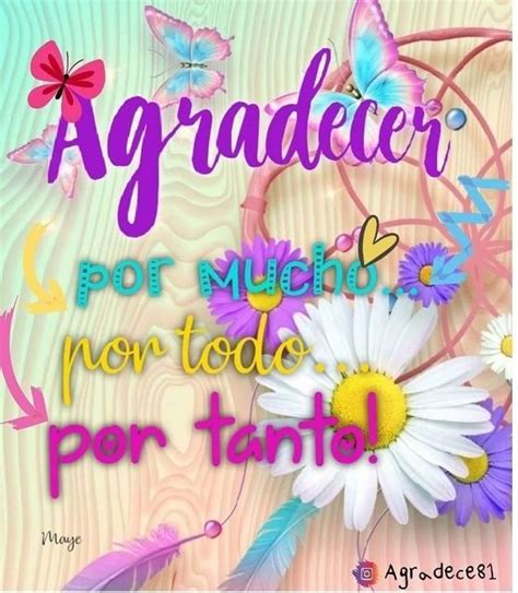 Backyard Diy Projects Diy Backyard Hooponopono Mantra Woman Quotes