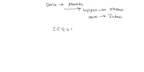Solved Assume That A Segment Of A Protein Coding Gene Has Been Sequenced And One Strand