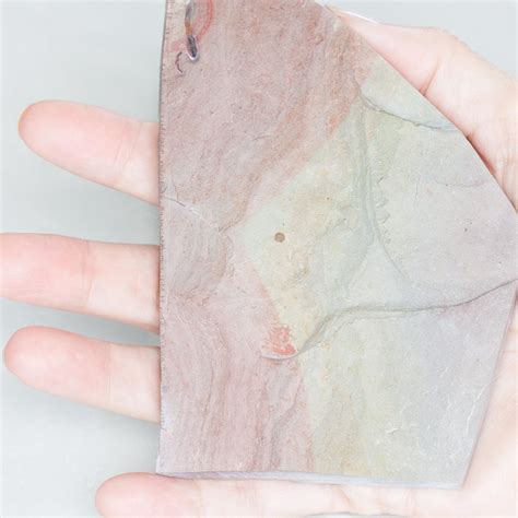 Lobopod From The Middle Cambrian Wheeler Shale Formation Of Utah