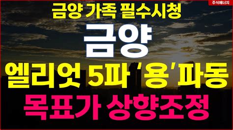 금양 엘리엇 5파 용 파동 목표가 상향조정 금양 주주 필수시청 리튬 하이드로리튬 이엔플러스 포스코케미칼 금양주가 에코프로